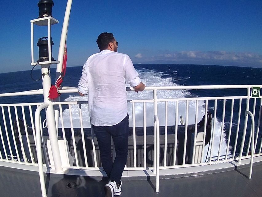 From Jerez: Day Trip to Tangier with Ferry & Lunch