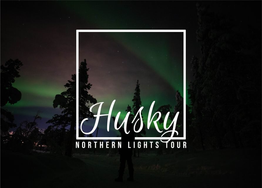 From Kiruna: Northern Lights Guided Husky Sledding Adventure