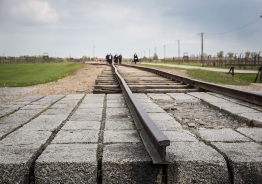 From Krakow: Auschwitz Birkenau Tour with Transfer