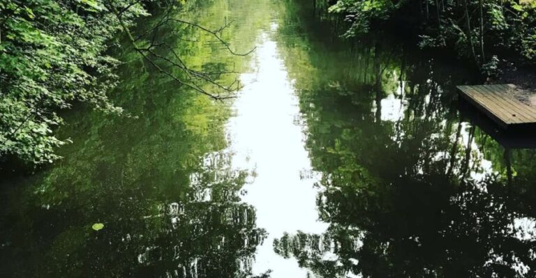 From Lilienthal: Full-Day Canoe Rental that Ends in Bremen - Discovering the Wümme River: What Makes This Canoe Experience Special?