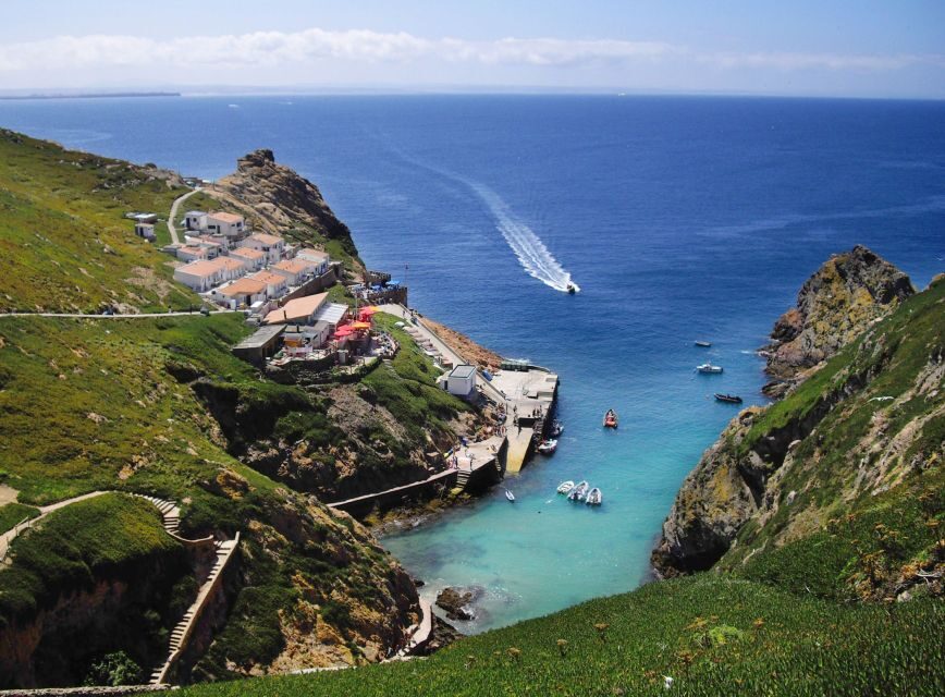 From Lisbon: Berlenga Grande Sightseeing Tour