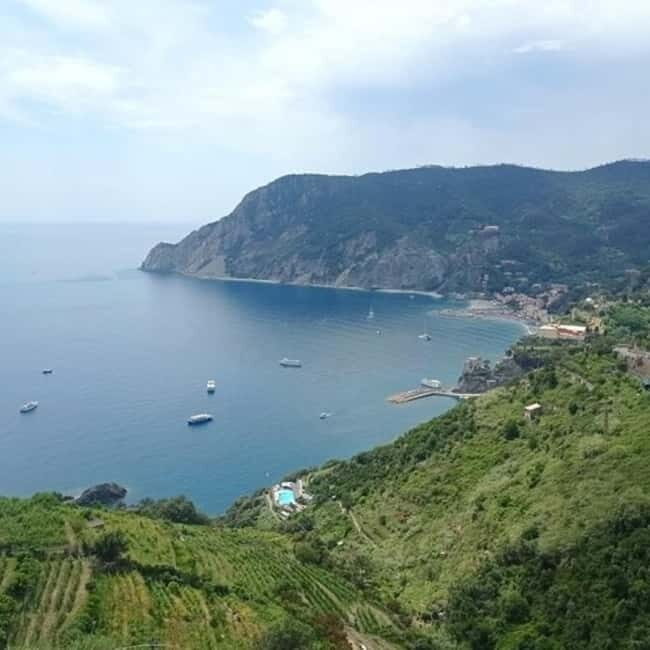 From Livorno: Accessible Cinque Terre and Pisa Private Trip - The Itinerary in Detail