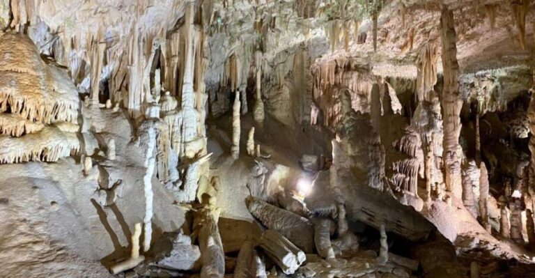 From Ljubljana: Postojna Cave Day Trip - The Cave Itself: Impressions and Details
