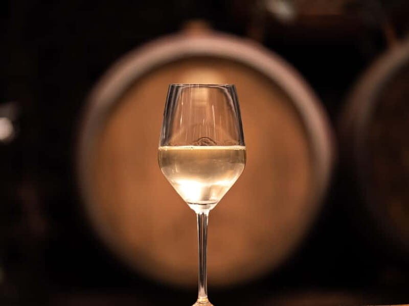 From Ljubljana: Vipava Valley Wine Express Tour