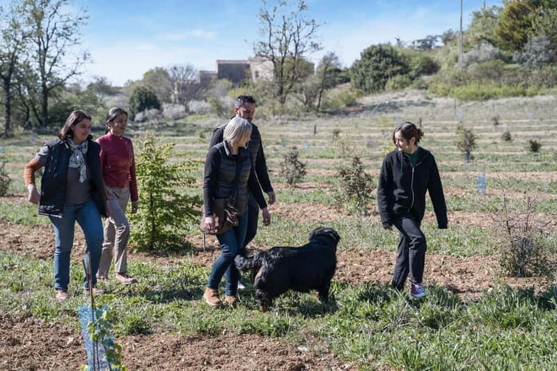 From location: Truffle farm visit, culinary workshop, meal