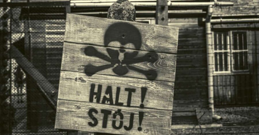 From Lodz: Auschwitz-Birkenau Small-Group Tour with Lunch - Why This Tour Offers Great Value