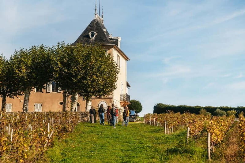 From Lyon: Beaujolais Wine Tour with Tastings