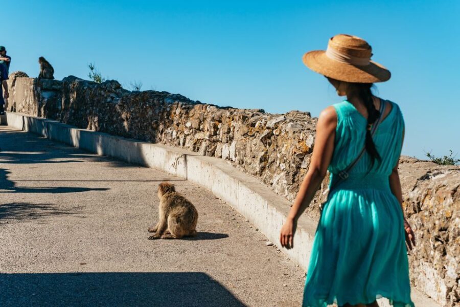 From Malaga and Costa del Sol: Gibraltar Tour