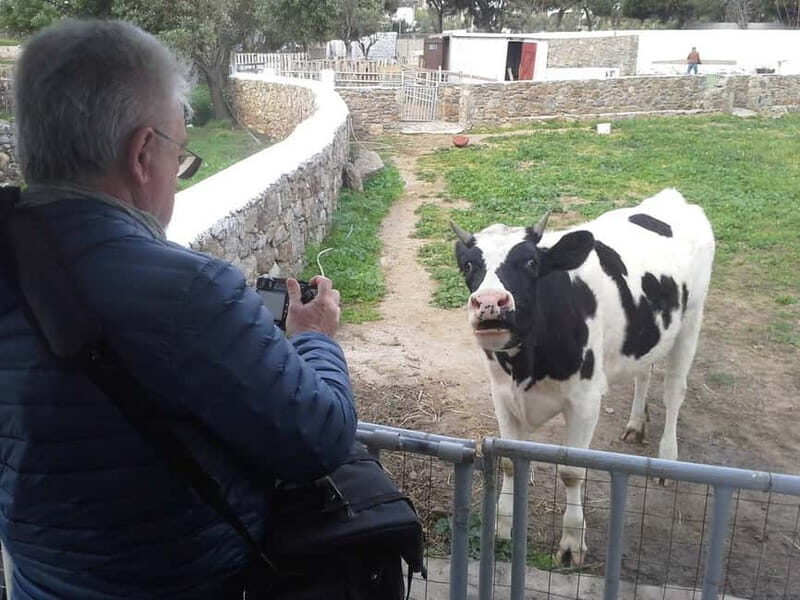 From Mykonos: Ano Mera Farm Tour - A Closer Look at the Itinerary