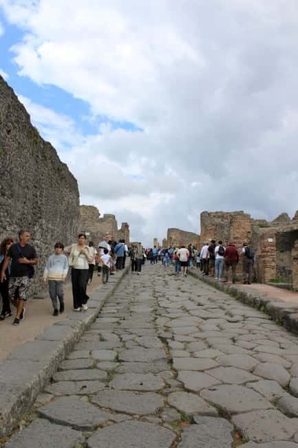 From Naples: Pompeii Tour with Guide, Driver & Ticket - An In-Depth Look at What to Expect