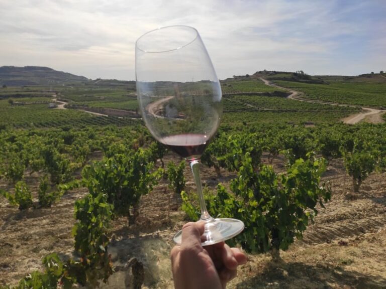 From Pamplona or Logroño: Rioja Wineries Day Trip w/ Tasting - Exploring the Itinerary and Highlights in Detail