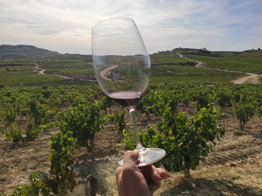 From Pamplona or Logroño: Rioja Wineries Day Trip w/ Tasting