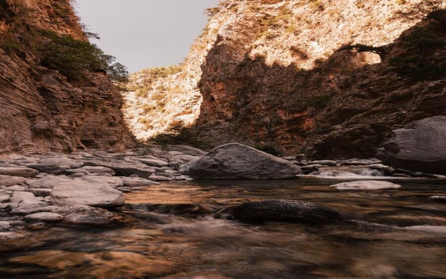From Panormo or Lavris: Samaria Gorge Hike with Guide