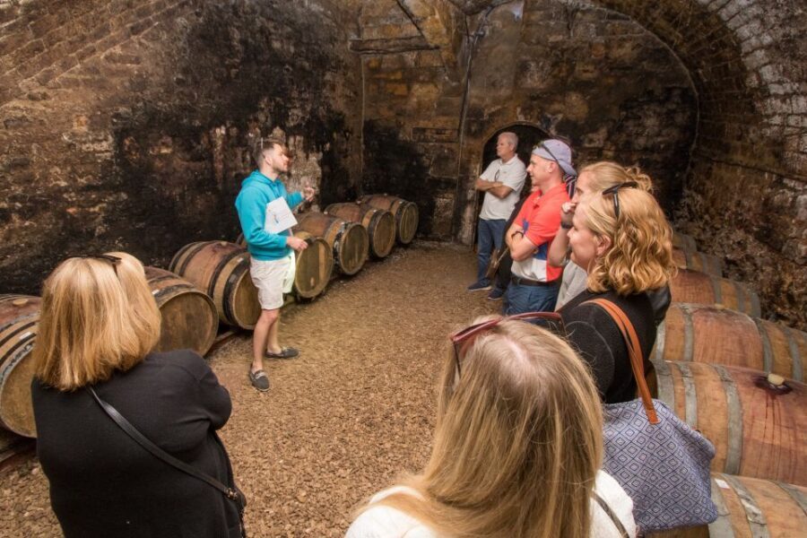 From Paris: Burgundy Region Winery Tour with Tastings