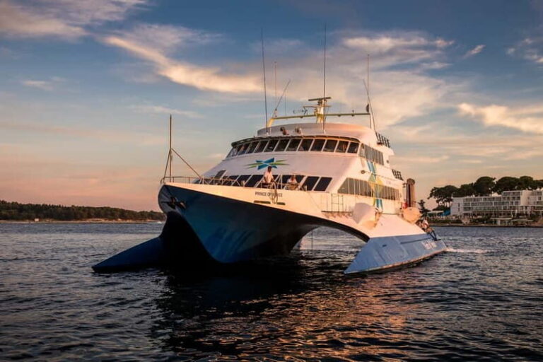From Piran: Venice Catamaran Crossing One-Way or Round-Trip - Arriving in Venice: What to Expect