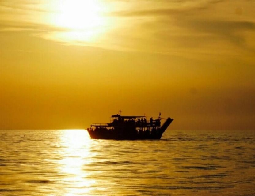 From Pore: Evening Dolphin Cruise with Welcome Drink