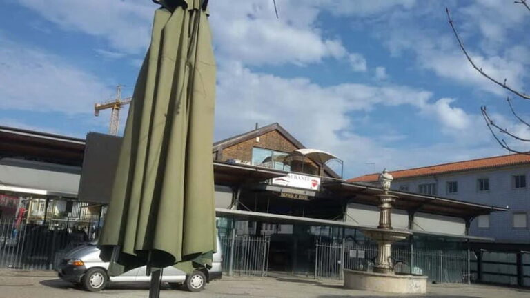 From Porto: Aveiro & Coimbra Tour with Moliceiro Boat Cruise - Detailed Review of the Experience