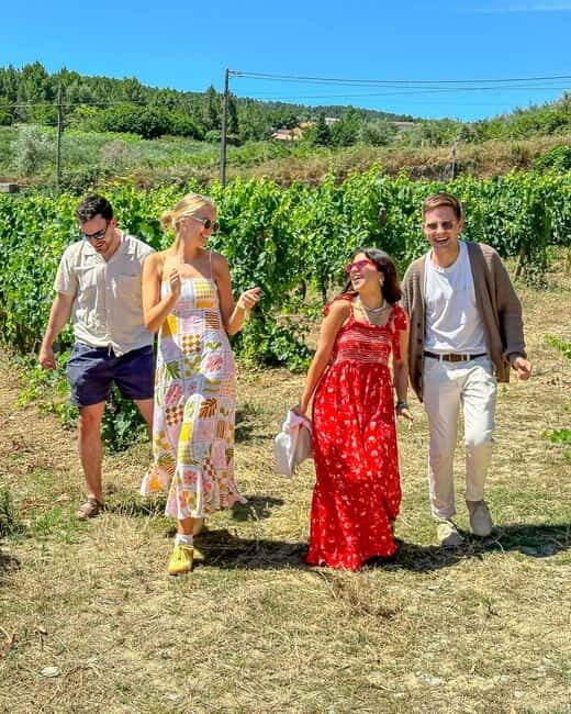 From Porto: Douro Valley Private Tour w/ 3 Wineries & Lunch