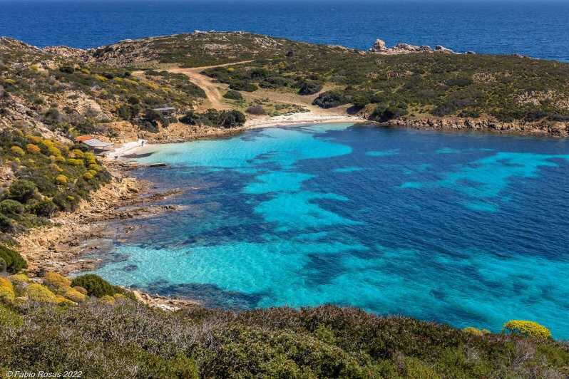 From Porto Torres: electric bicycle rental