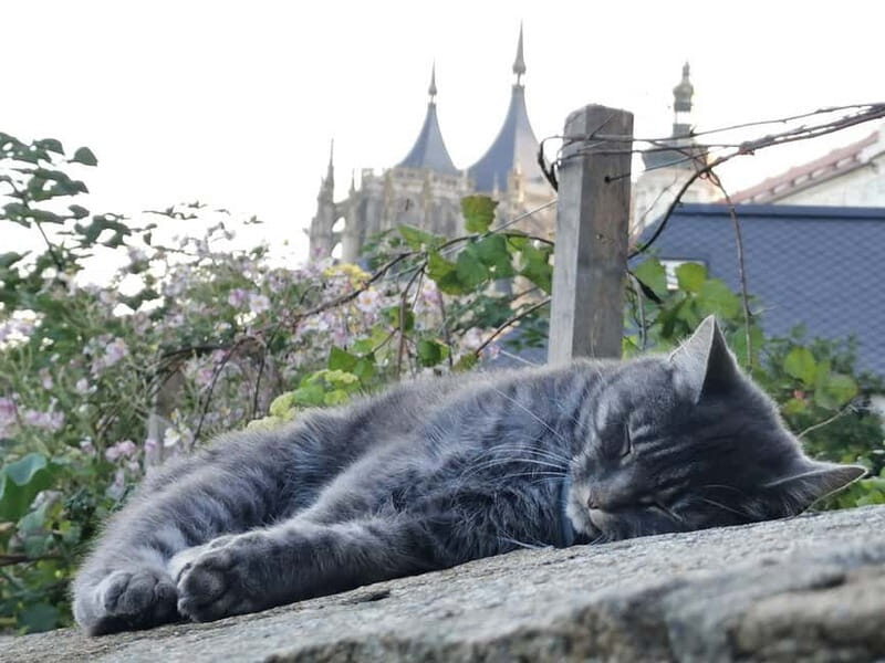 From Prague: Kutná Hora, Bone Church & Folk Museum Tour