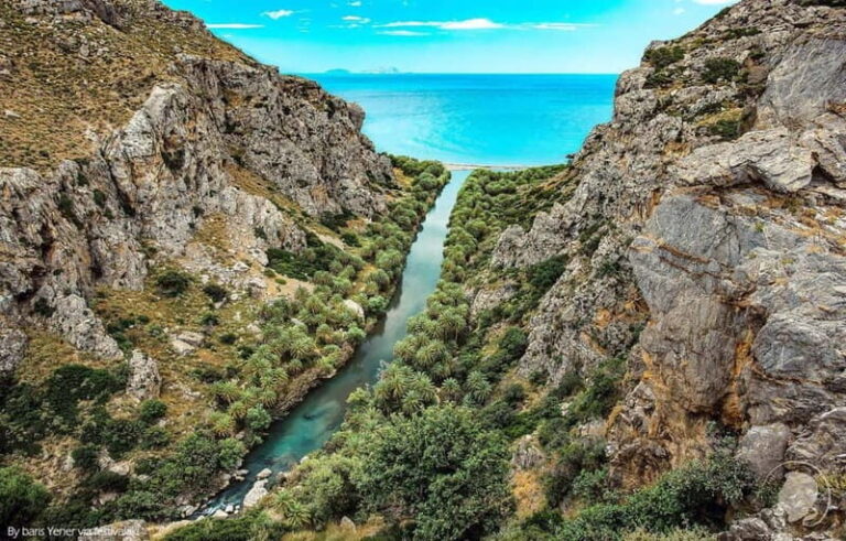 From Rethymno: Preveli Palm Forest, Damnoni and Plakias Tour - Transportation and Value