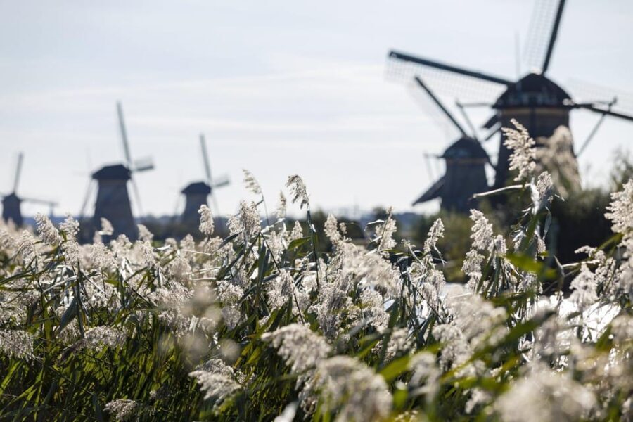 From Rotterdam: Kinderdijk, Delft & The Hague Private Tour