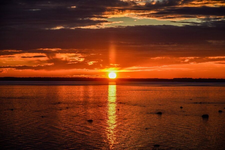 From Rovaniemi: Midnight Sun Forest Lake Float - Discovering the Midnight Sun Forest Lake Float