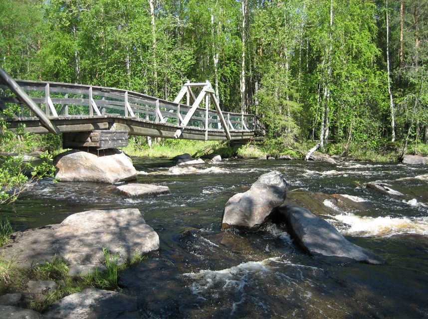 From Rovaniemi: Vikaköngäs Forest Hiking Tour