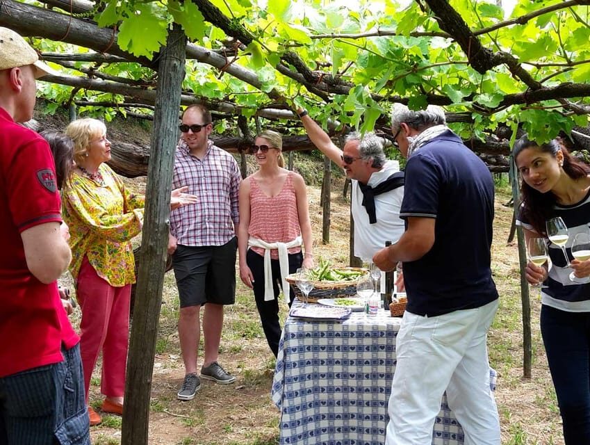 From Salerno: Amalfi Coast Tour and Wine Tasting with Lunch