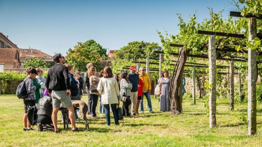 From Santiago: Tour to Rias Baixas with Boat Trip and Winery
