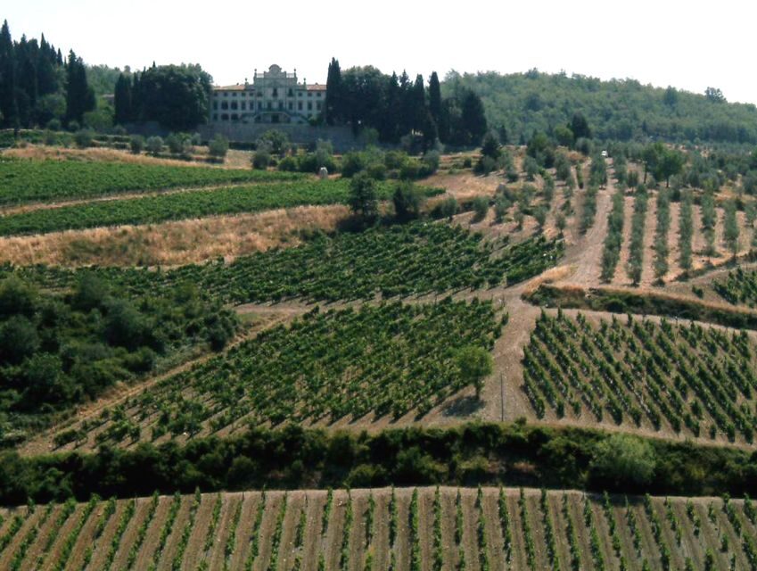 From Siena: Chianti and Castles Tour with Wine Tastings