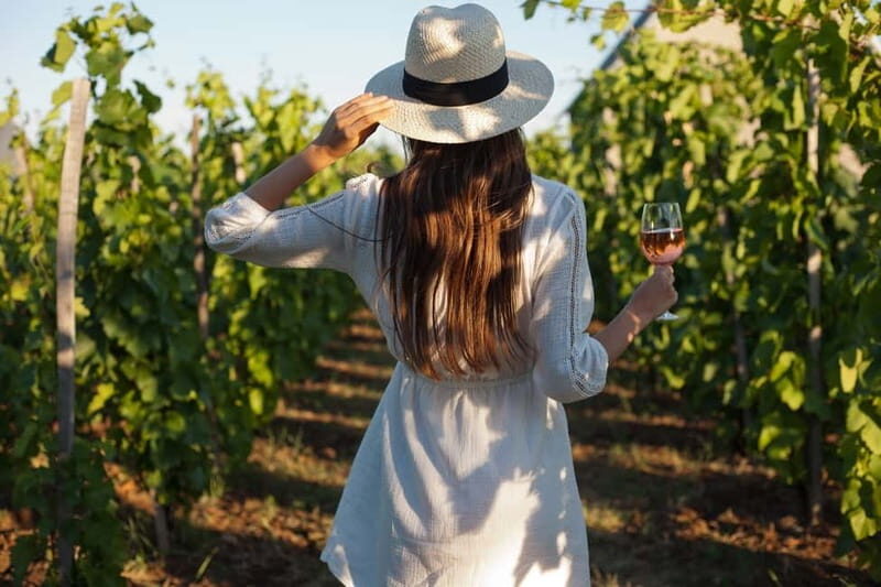 From Siena/Chianti: Dinner & Drinks in the Chianti Vineyards