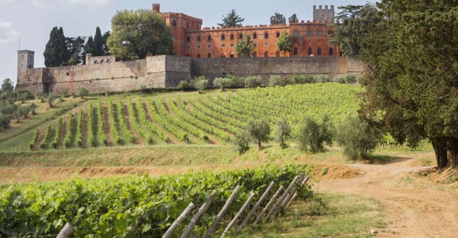 From Siena: Chianti Wine Tour with Lunch