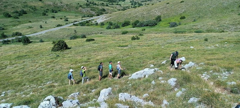 From Skopje: Ohrid and Magaro Peak Hike on Galicica Mountain