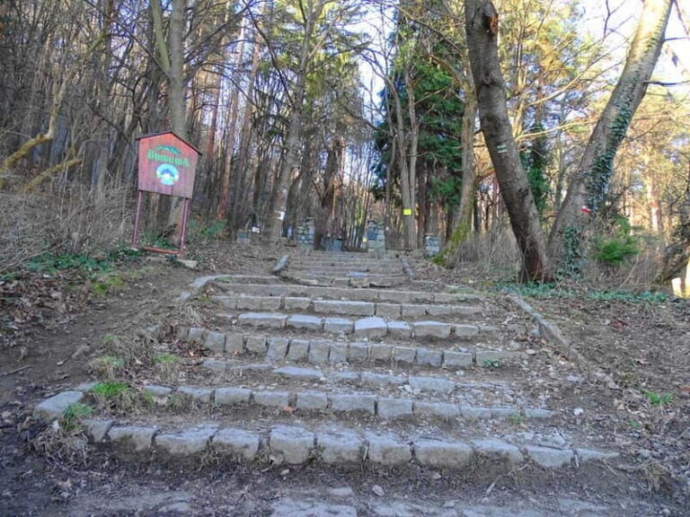 From Sofia: One-Day Tour of Vitosha Mountain - The Guide and Group Dynamic