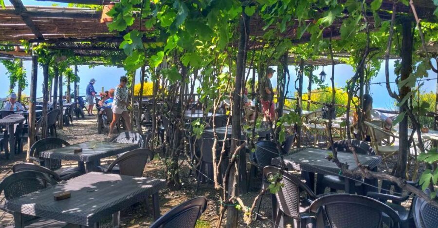 From Sorrento: Mount Vesuvius Tour with Lunch & Wine Tasting