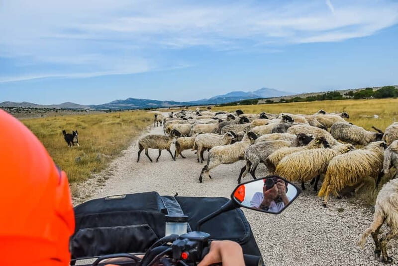 From Split: Full-Day Horse Riding & Quad Biking with Lunch