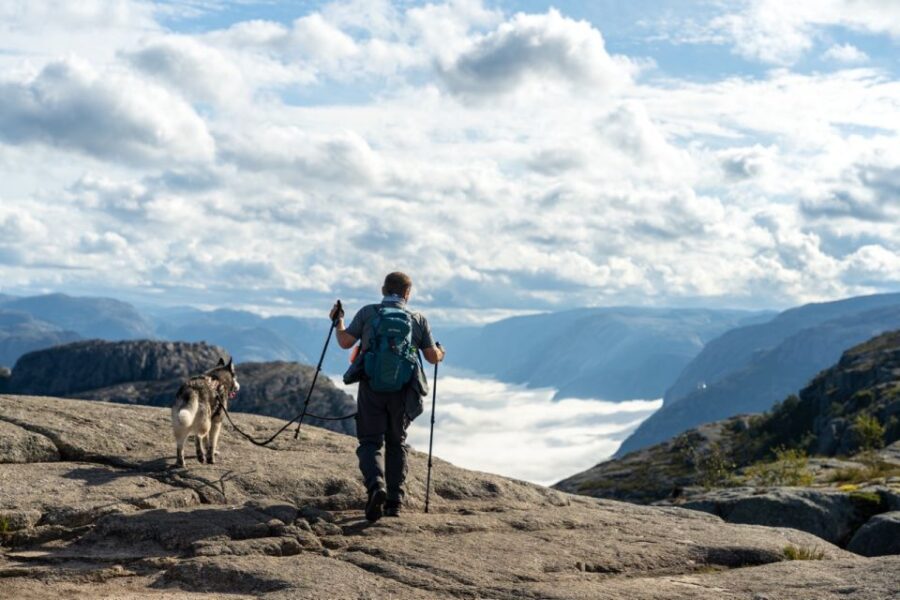 From Stavanger: Pulpit Rock Guided Hike with Pickup