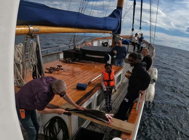 From Svolvær: Taste of Lofoten - Cultural Fishing Experience