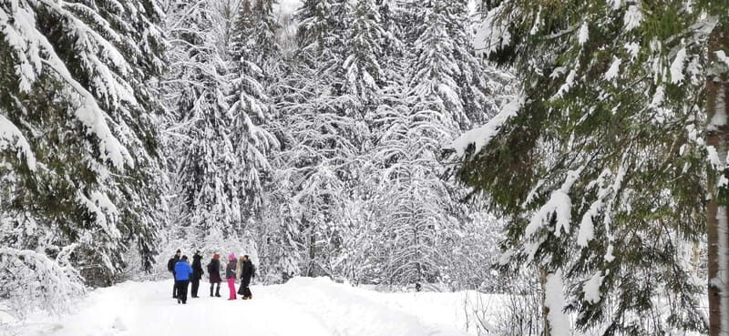 From Tallinn: Lahemaa National Park 3 Waterfall Hike