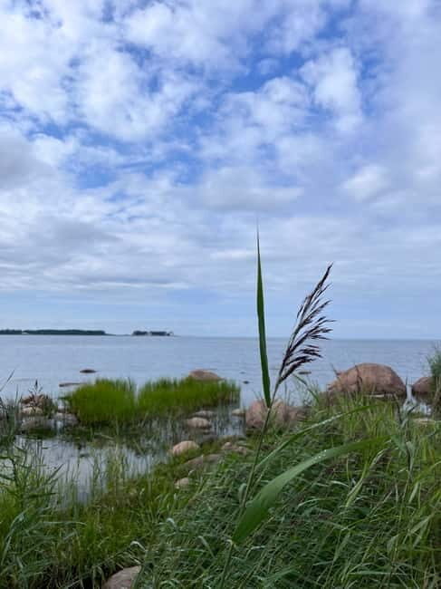 From Tallinn: Lahemaa National Park Day Trip