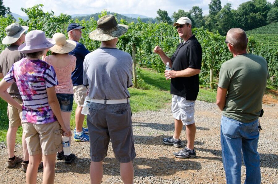 From Taormina: Private 3 Etna Wineries with Food & Wine