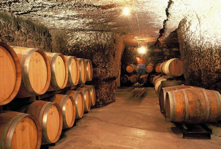 From Tours: Loire Valley Wineries Day Trip with Tastings