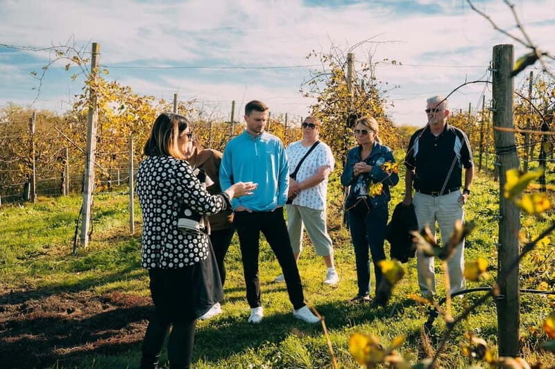 From Venice: Prosecco Wine Region Tour with 2 Tastings