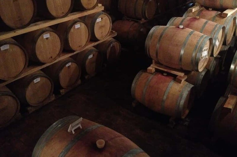 From Verona: Amarone Wine E-Bike Tour with Tasting