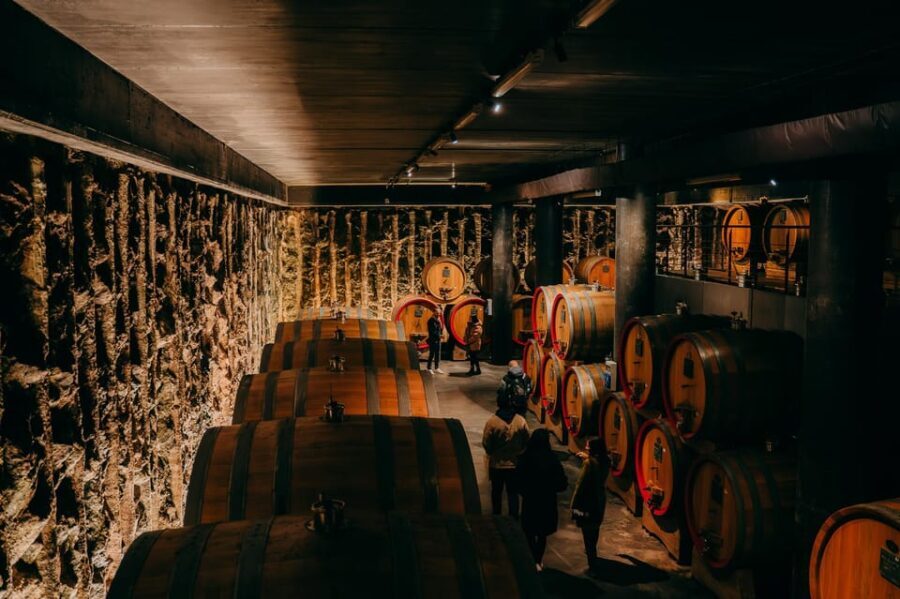 From Verona: Valpolicella and Amarone Wine Tasting Tour