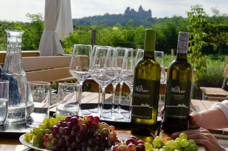 From Vienna: Half-day Countryside Wine Tour with Meal