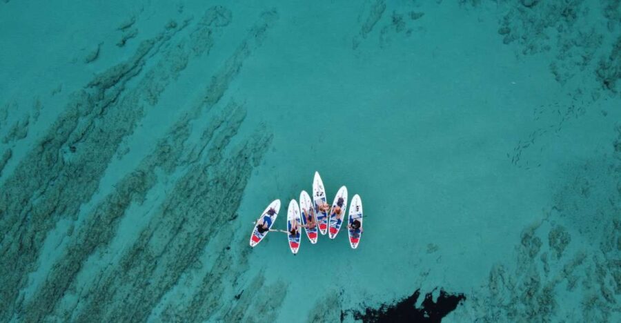 From Zadar: Full Day Dugi Otok Guided Paddle Board Tour