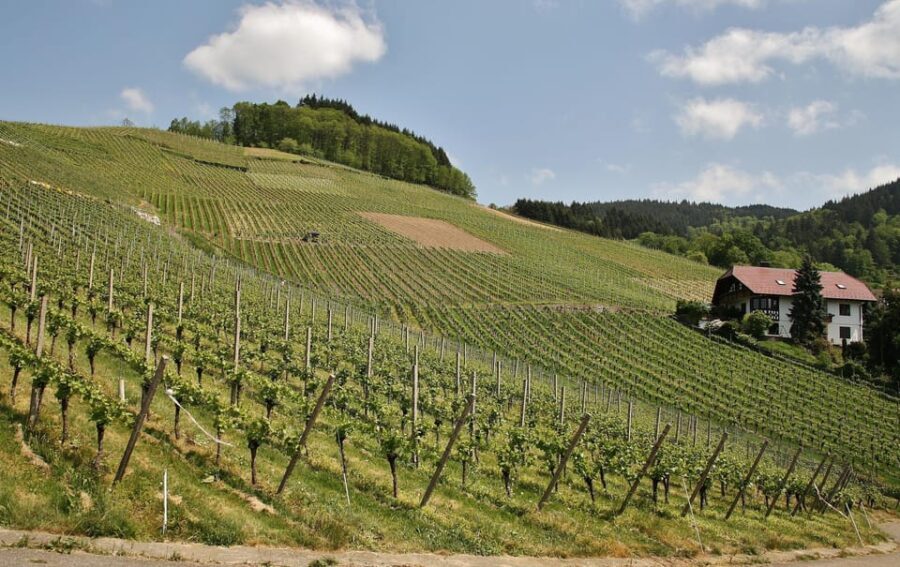 From Zagreb: Samobor Highlights & Wine Tasting in Pleivica