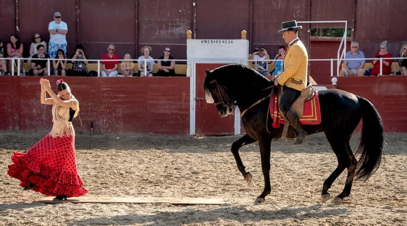 Fuengirola: Spanish Horse Show with Optional Dinner/Flamenco